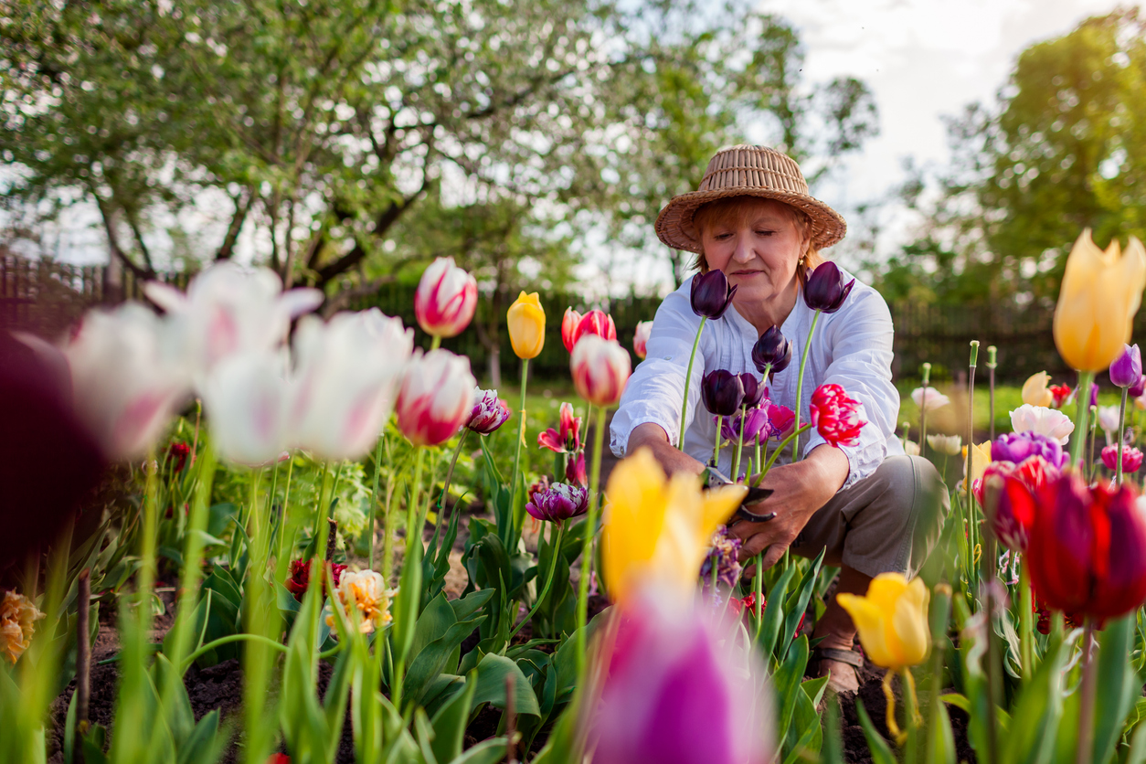 Spring into wellness: How the season of renewal can boost your health